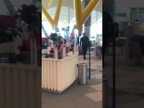 Iberia bussines lounge, Madrid Barajas International Airport