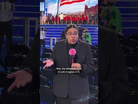 WHAT EVEN IS THE DNC?