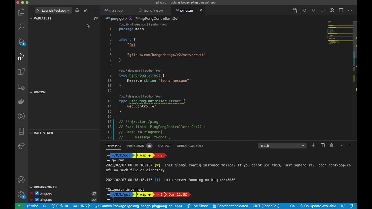 How to debug Go Web App using VS Code?