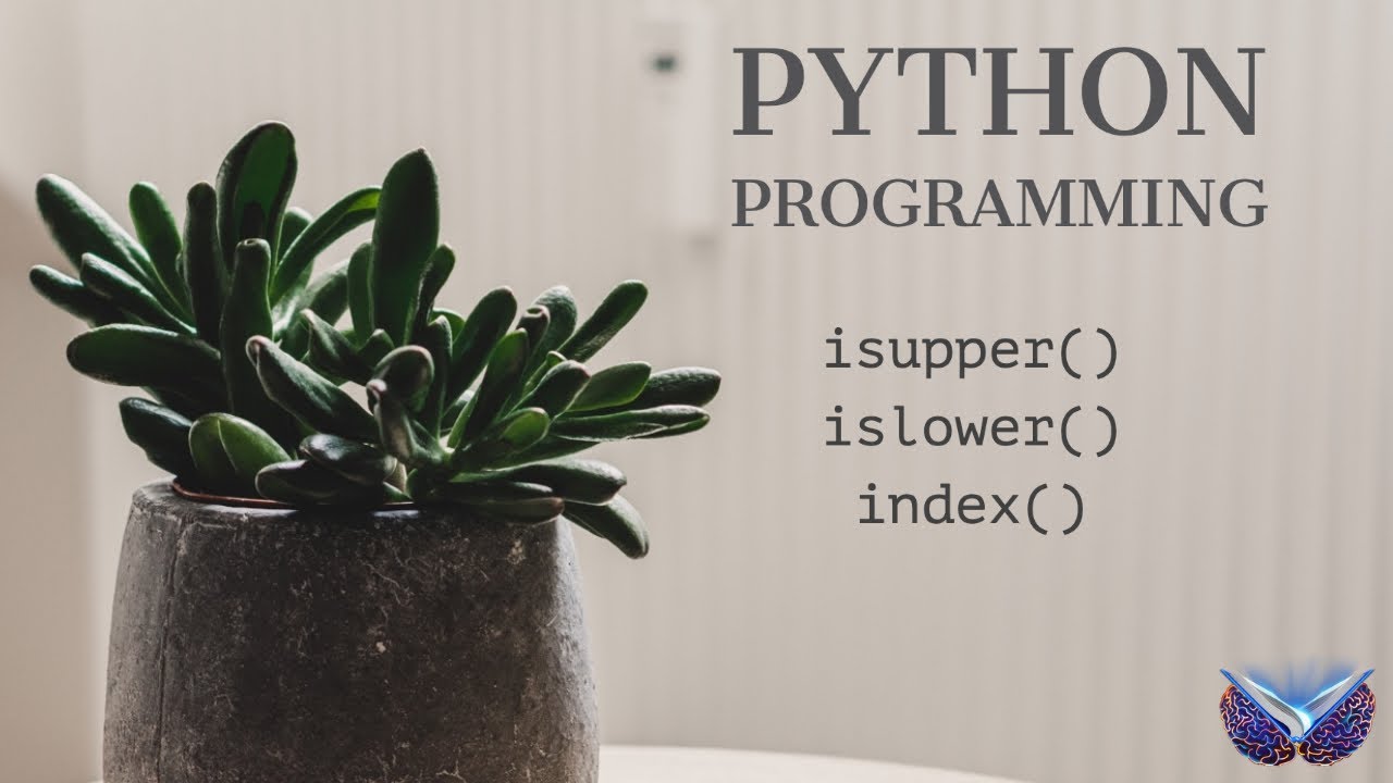 Python Programming: Tutorial 4: islower() | isupper() | index()