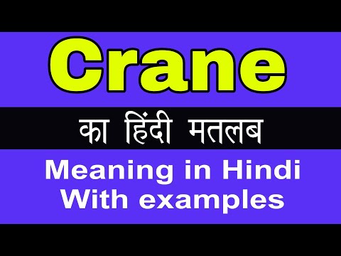 Crane Meaning in Hindi/Crane ka Matlab kya Hota hai