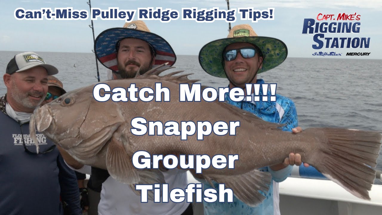 Snapper grouper tilefish | Snapper & Grouper Fishing | catch more snapper grouper | snapper grouper