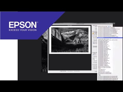Tutorial: Using the Advanced Black and White Driver | Epson