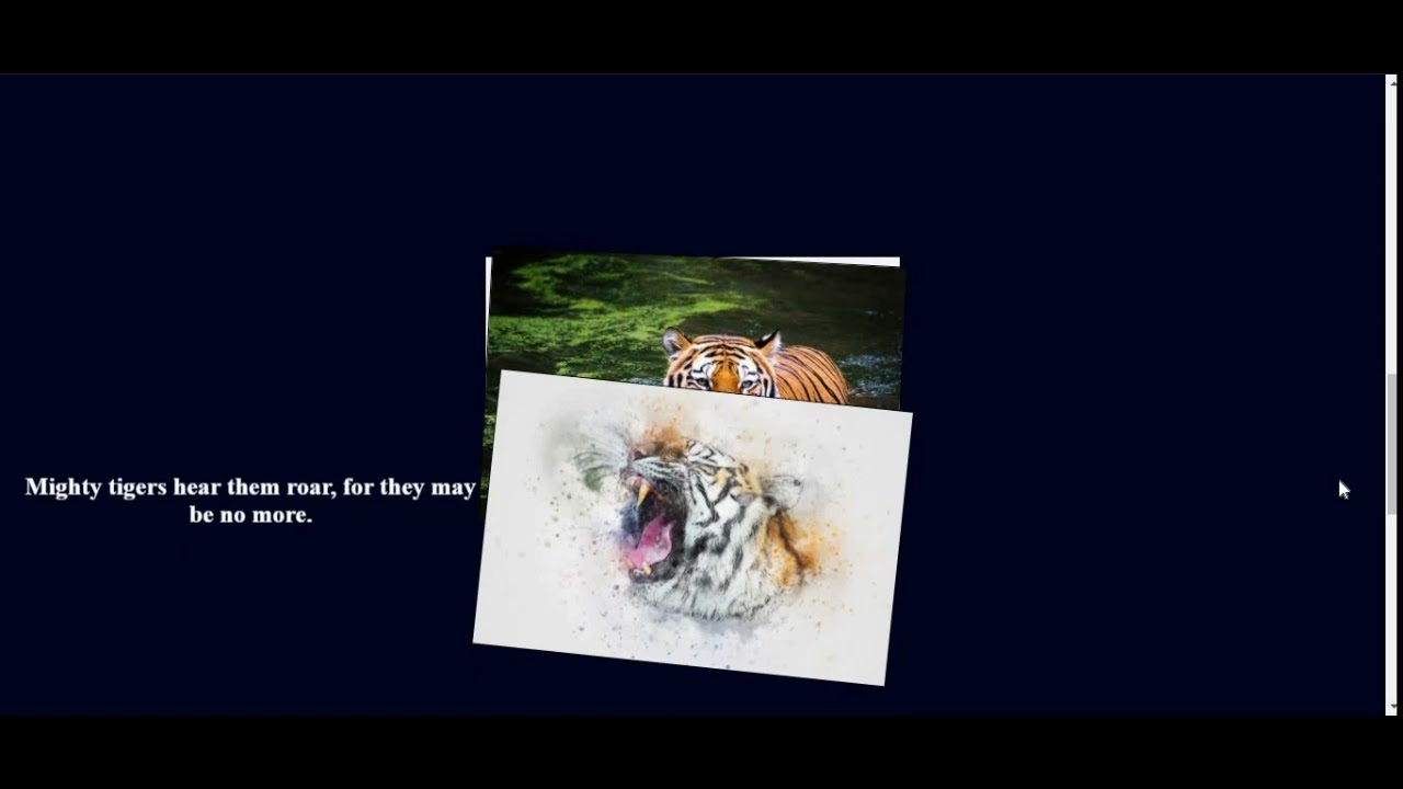 Stack of Cards Image Gallery on Scroll [Source Code through description]