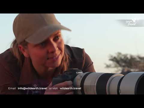 Wildlife Photography in Botswana with Danielle Carstens | October 2025