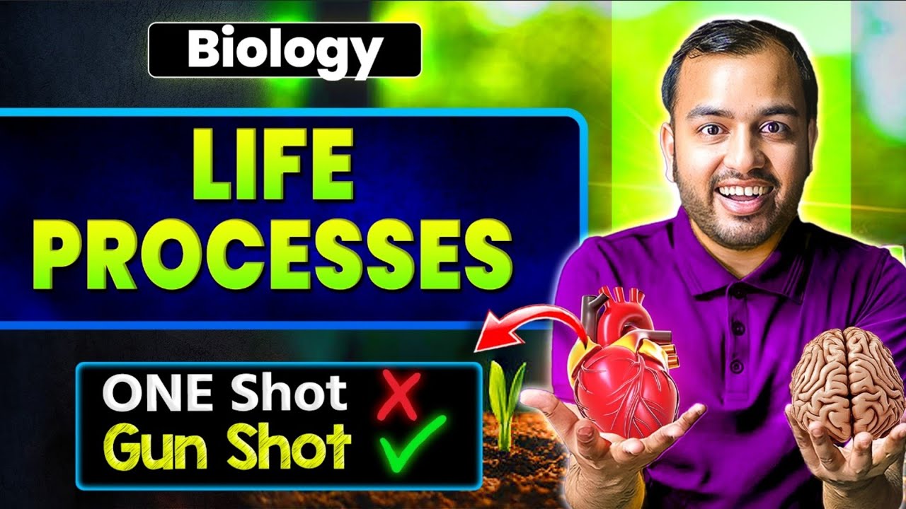 Understanding Life Processes in Biology: Nutrition, Respiration ...