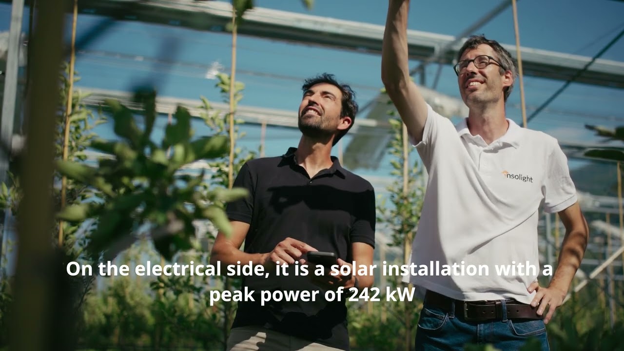 Agrivoltaics on Orchards: New Agri-PV Installation by Insolight