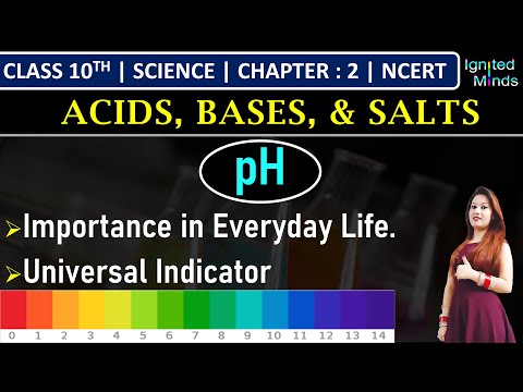 Acids, Bases and Salts- pH and Its Importance, Universal Indicator- 4 ...