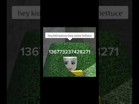 Roblox image IDs #ids #haveitoldyoulatelythatiloveyou #fypyoutube #fypシ゚viral