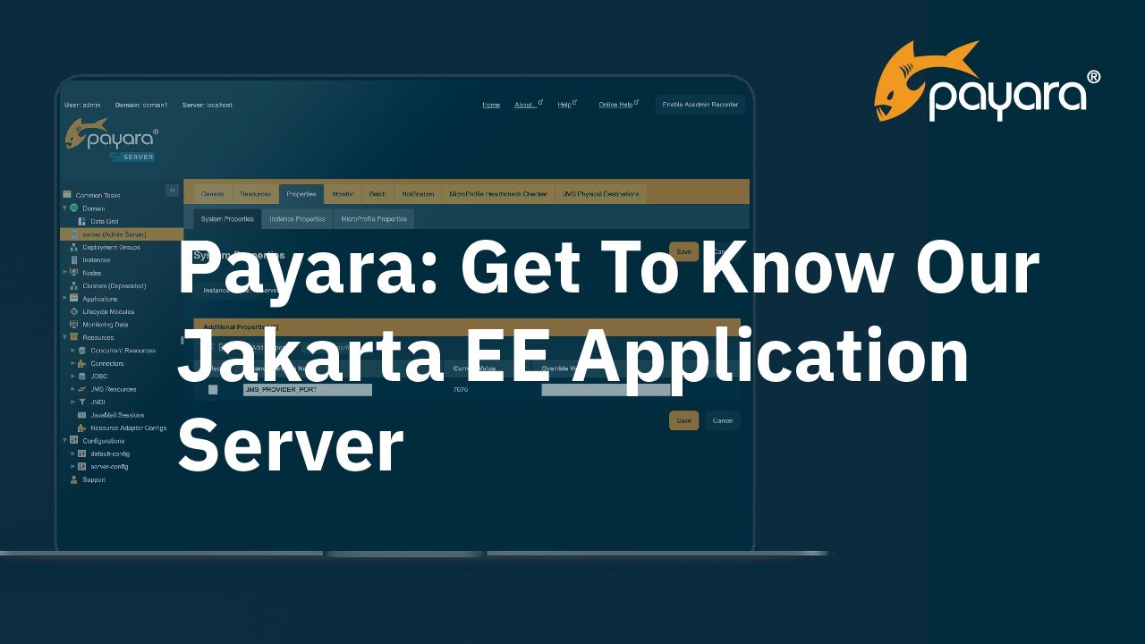 Payara: Get To Know Our Jakarta EE Application Server
