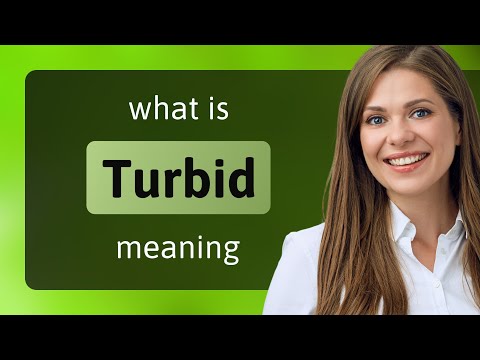 Turbid | TURBID definition