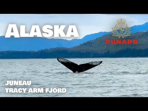 Whale Watching in Juneau + Tracy Arm Fjord Cruise | Cunard Queen Elizabeth Alaska Vlog
