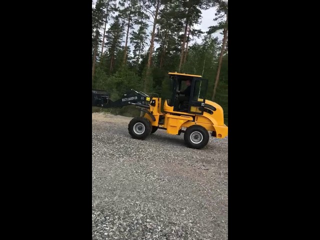 Wheel loader Multiloader L20 2019 - PS Auction - We value the future ...