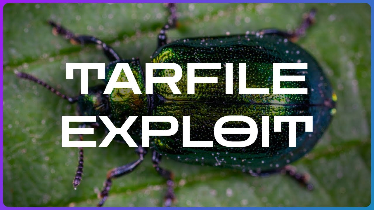 The 15-year-old Python bug that can DESTROY YOUR OS