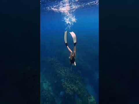 Deep Blue Diving ????