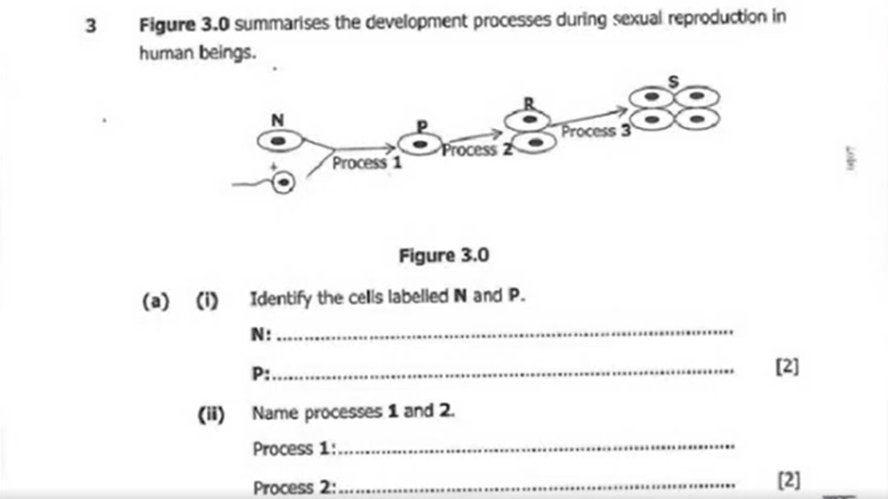 BIOLOGY 2018 GRADE 12 PAPER 2 INTERNAL