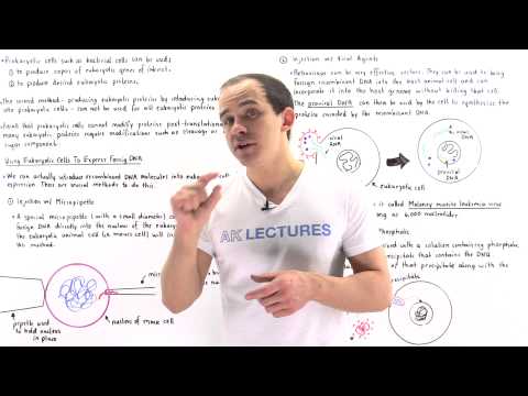 Gene Transfection