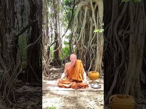 LIVE TODAY 6pm IST EVENING CHANTING & GUIDED MEDITATION in PALI & ENGLISH