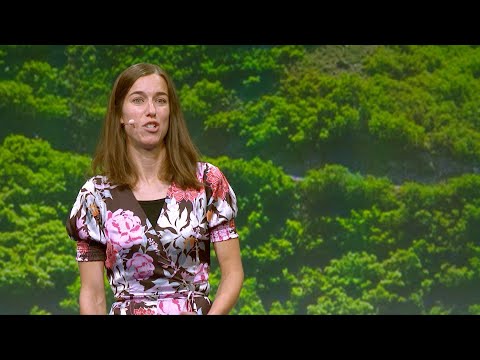 Your Path of Discipleship | Stacey A. Shaw | 2022