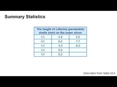 Excel summary statistics