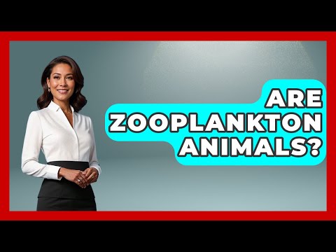 Are Zooplankton Animals? - Polar Regions Uncovered
