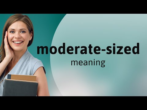 Moderate-sized | what is MODERATE-SIZED definition