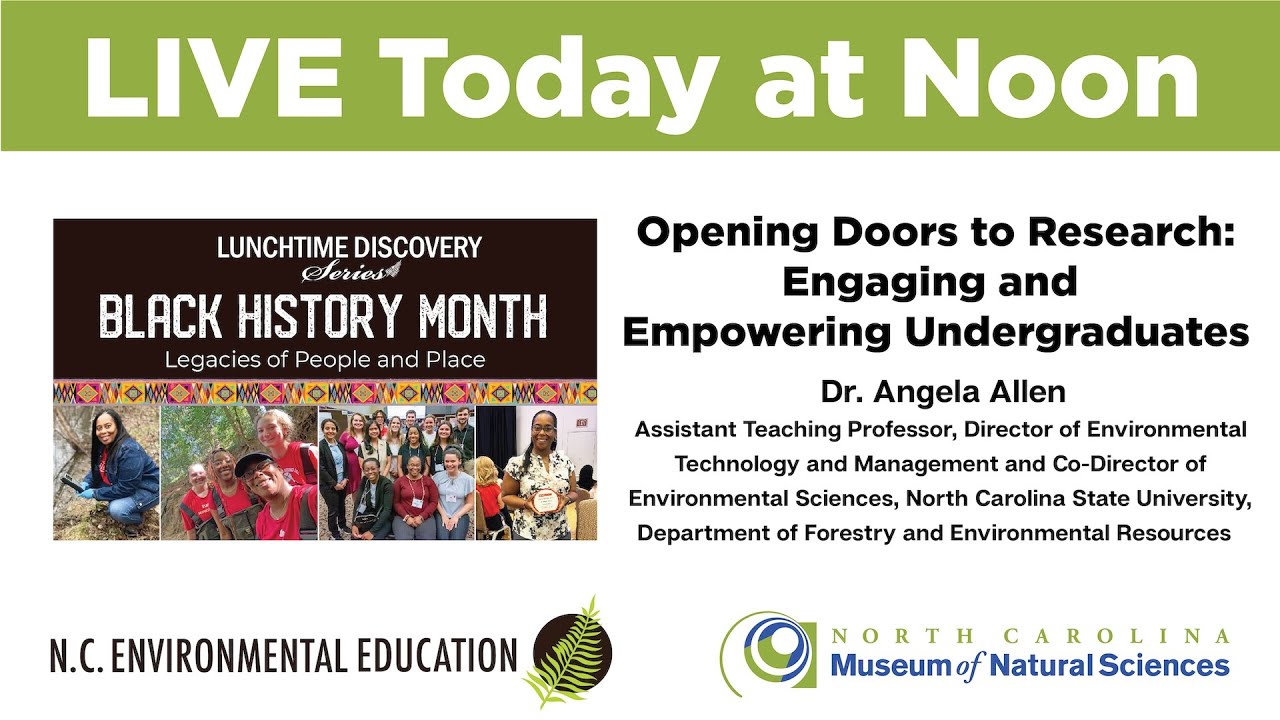 Opening Doors to Research: Engaging and Empowering Undergraduates