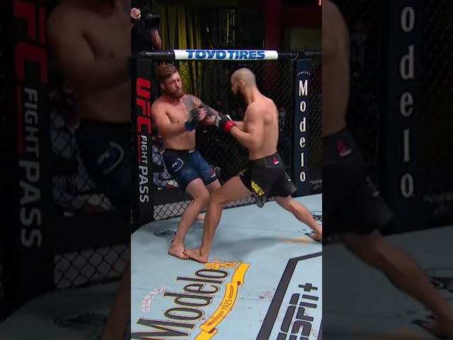 5 reasons why Khamzat Chimaev could become the UFC welterweight champion