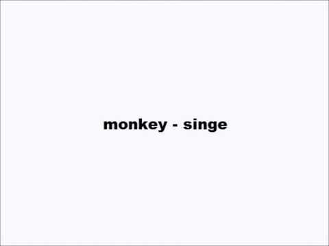 The French Word For "Monkey"