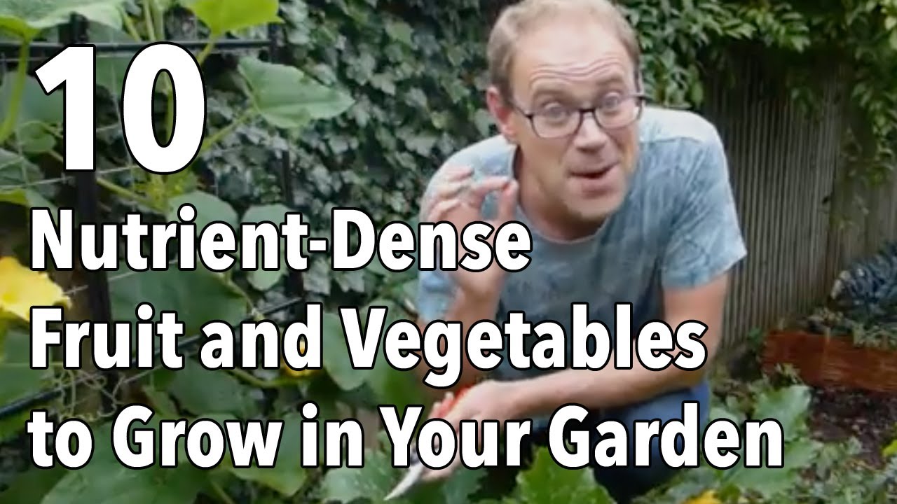 10 Nutrient-Dense Fruits and Vegetables to Grow in Your Garden