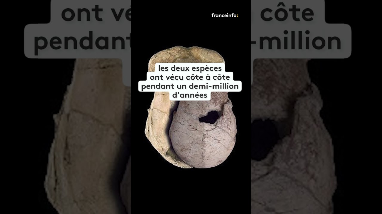 Human evolution would not be linear