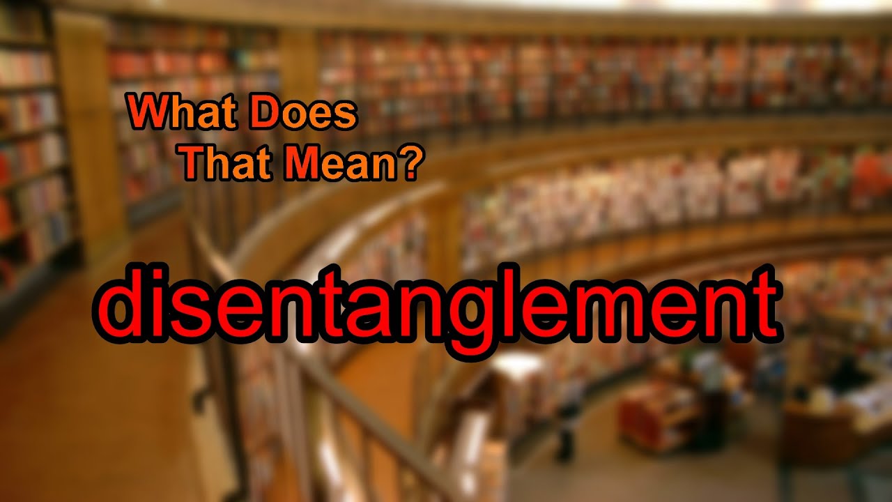 What does disentanglement mean?