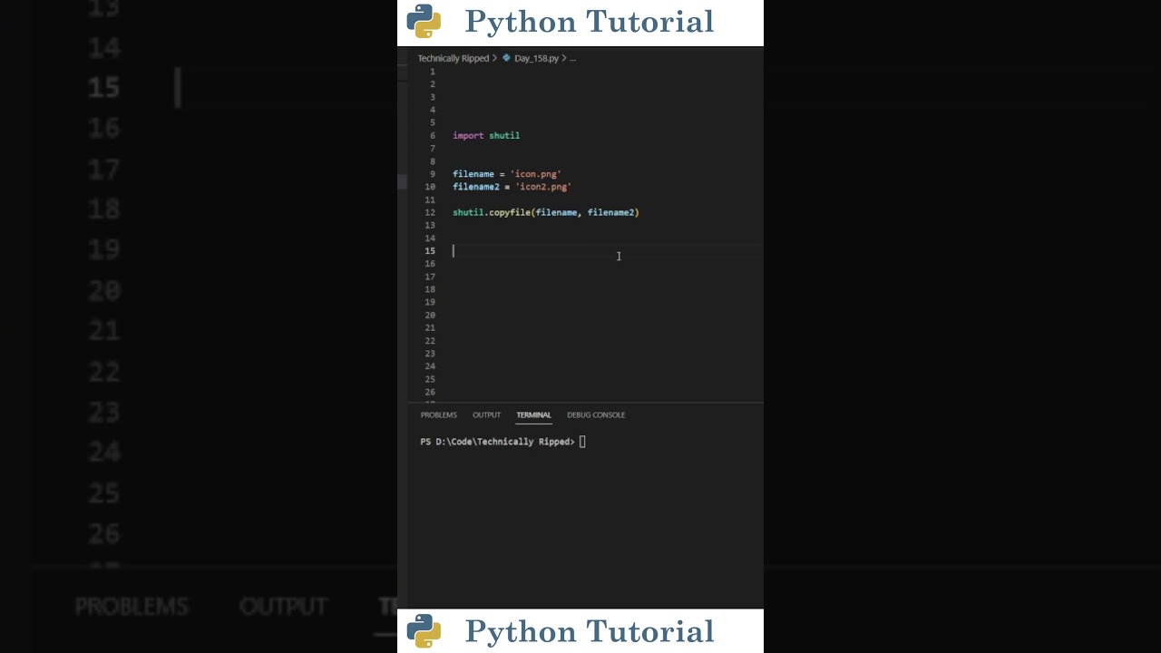 Duplicate Files With Python | Python Tutorial