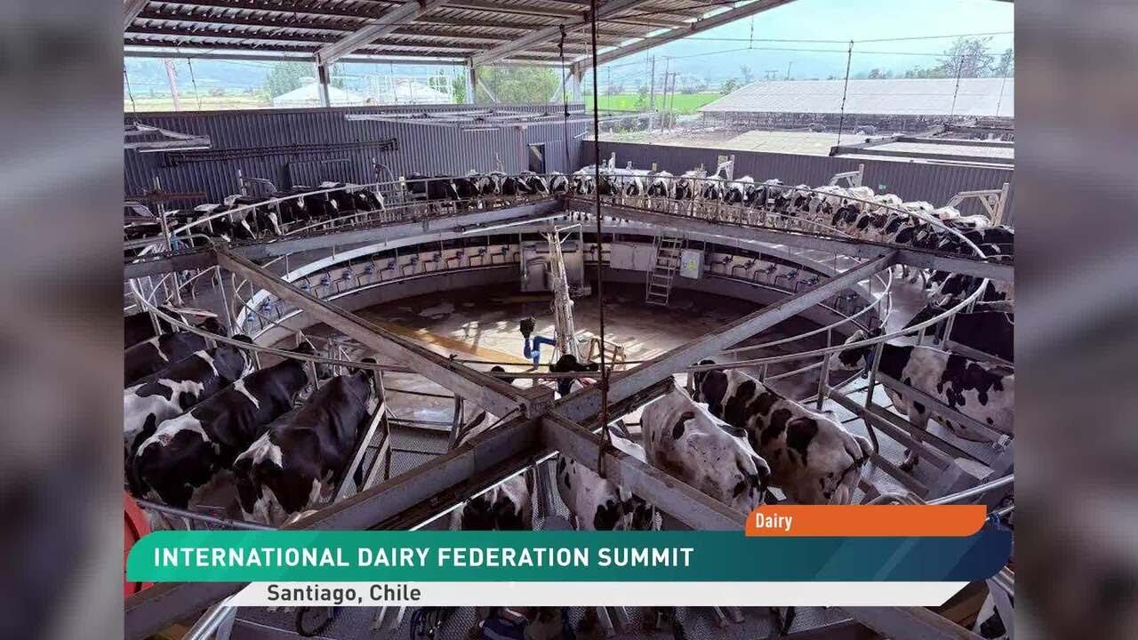 International Dairy Federation Summit Underway in Chile