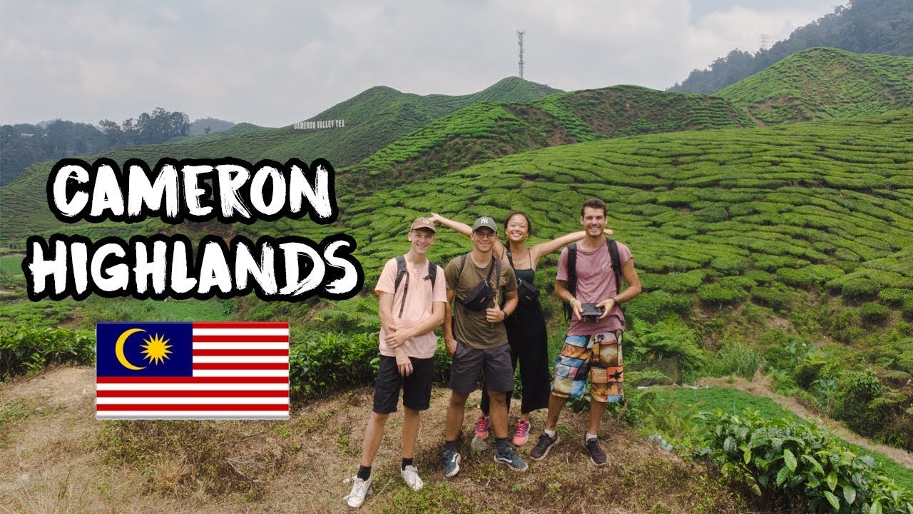 Cameron Highlands MUST Do Hikes