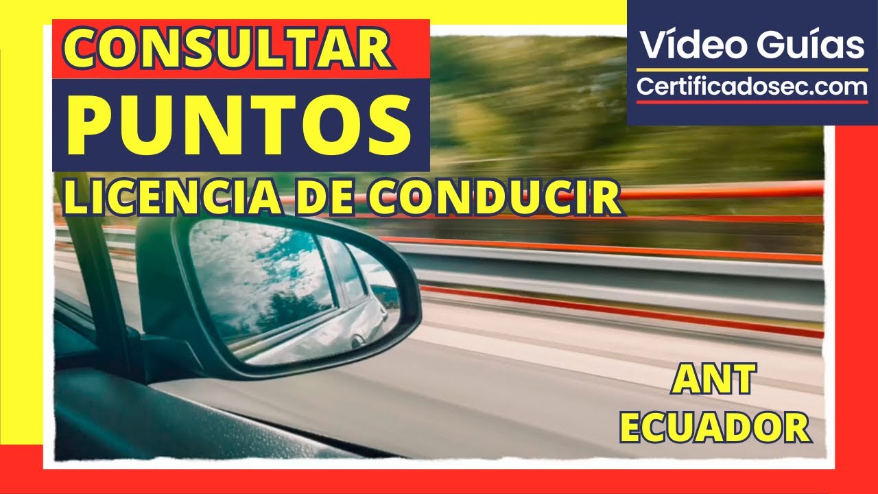 ✔️ CONSULTAR PUNTOS de Licencia de Conducir en ANT de Ecuador 🚦