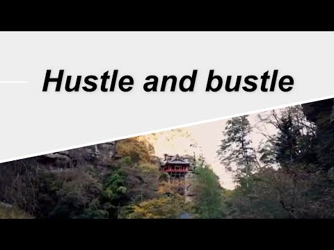 "Hustle and bustle" | Travel in Japan | English for advanced level