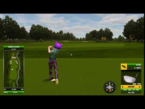 Golden Tee Replay on Beals Creek.