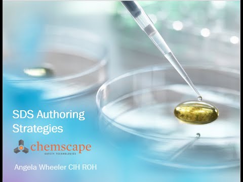 SDS Authoring Strategies