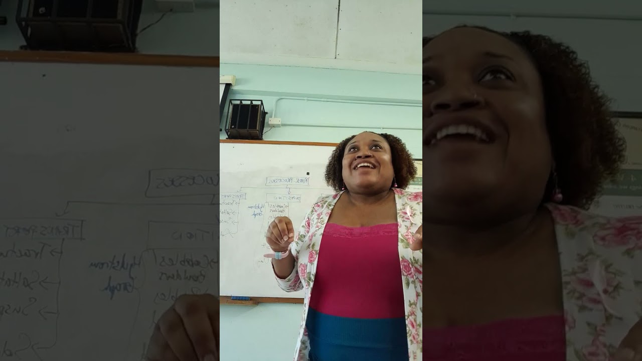 CXC Cape Unit 1Geography : River Processes