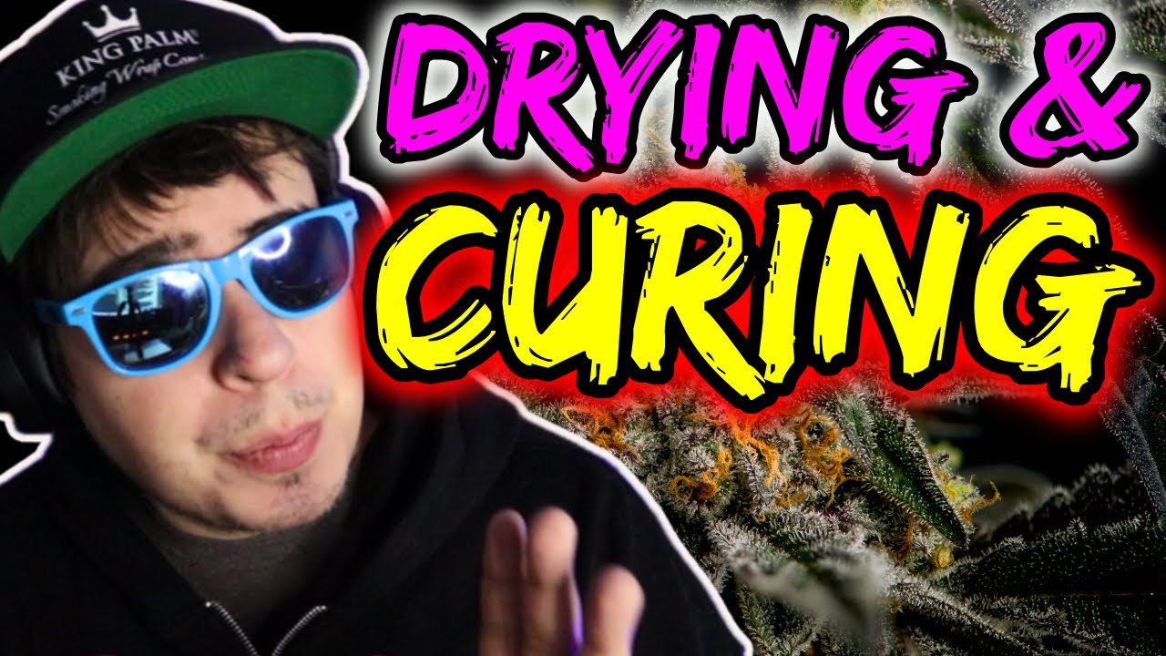 SECRET TO DRYING & CURING FOR BEST TASTING FLOWERS!