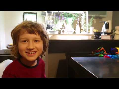 The Senses: Simulating Taste and Smell – Geeks out of the box