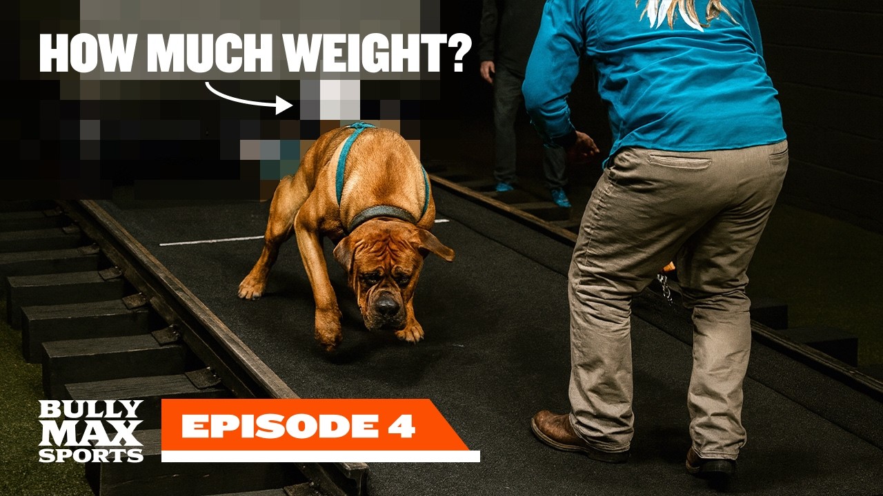 Bully Max Sports | Where Champions Come to Compete - Bully Max