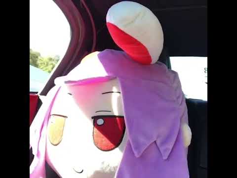 Deka Fumo in le car
