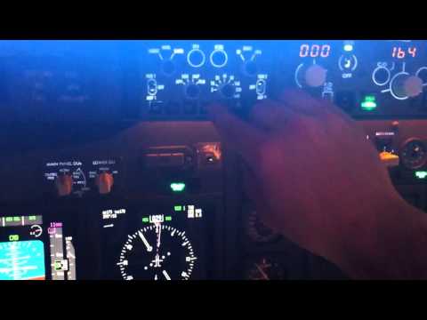 boeing 737 Mcp and efis for sale.usb plug and play
