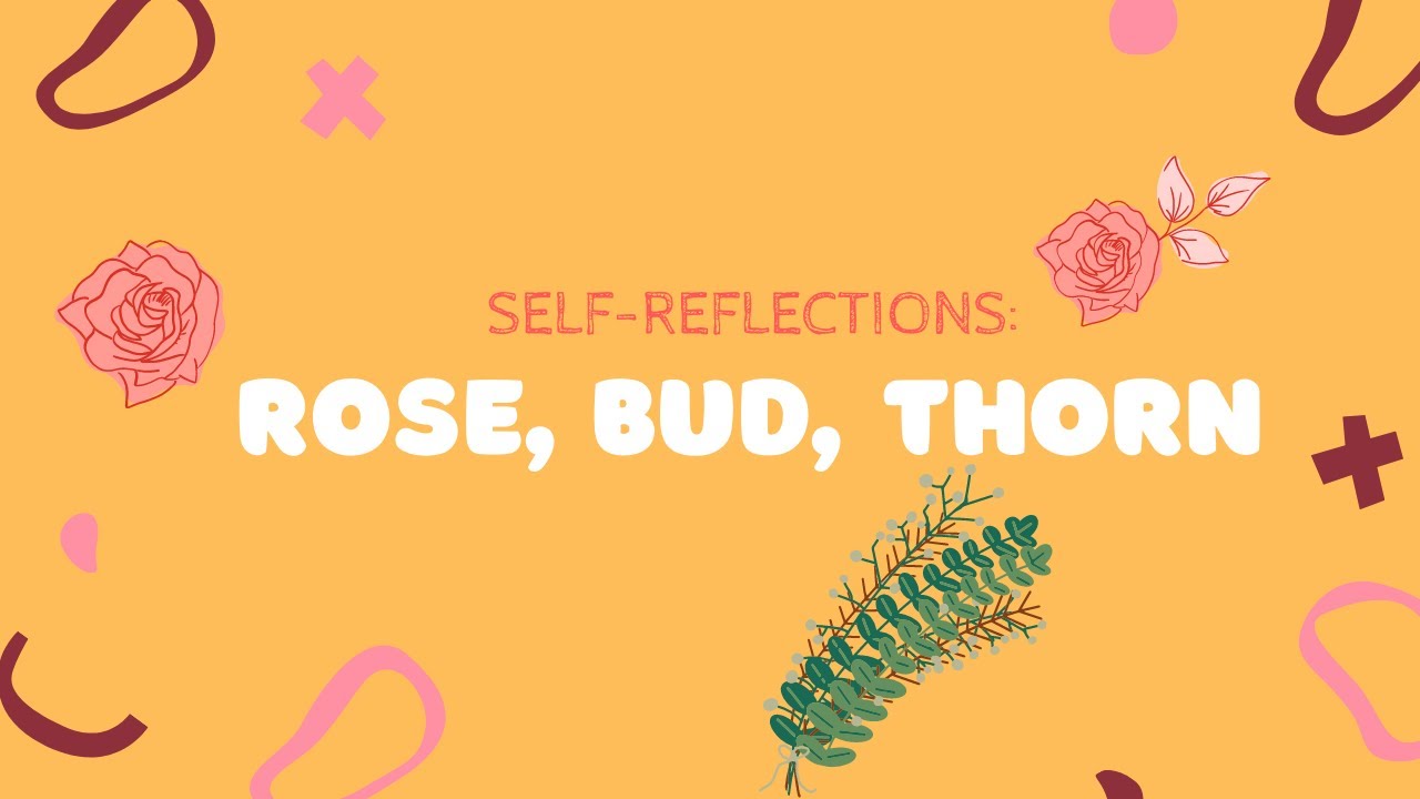 Rose, Bud, Thorn | Self-Reflections