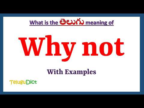 Why not Meaning in Telugu | Why not in Telugu | Why not in Telugu Dictionary |