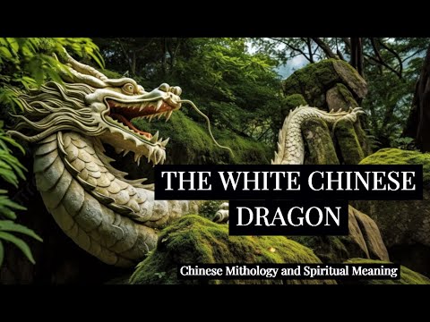 Dragons: A Guide to White Dragons #fact #dragon