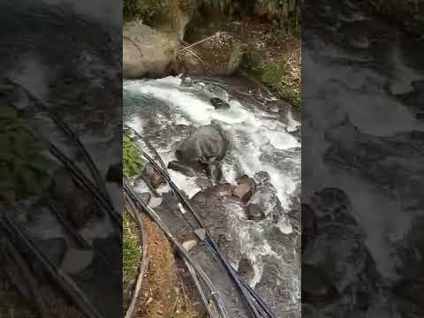Joglo Ageng Guci - Hidden Waterfall.