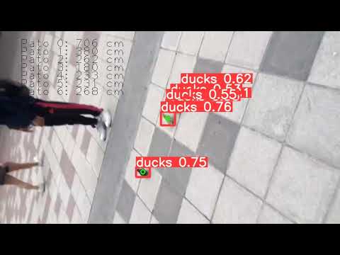 GitHub - Jgusbc/Duck_Tracking